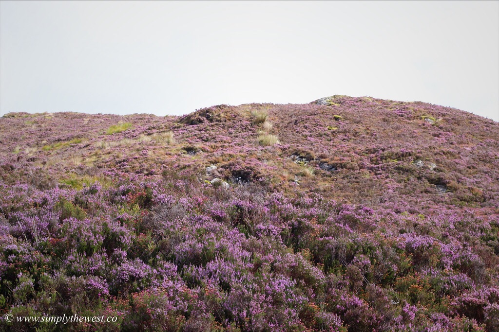 Ben A’an walk, an easy climb with stunning views. - Simply The West